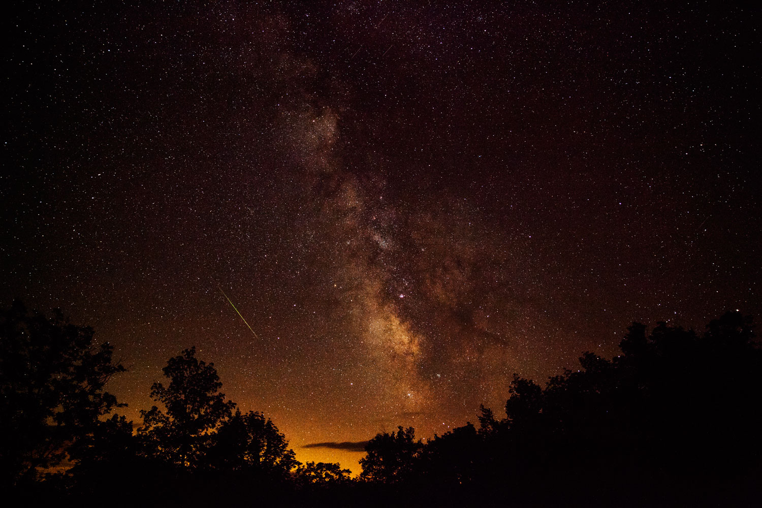 CONTACT ⋆ OK to Grow